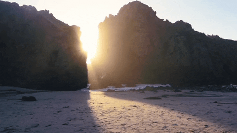 Bay Area Beach GIF by Chris - Find & Share on GIPHY