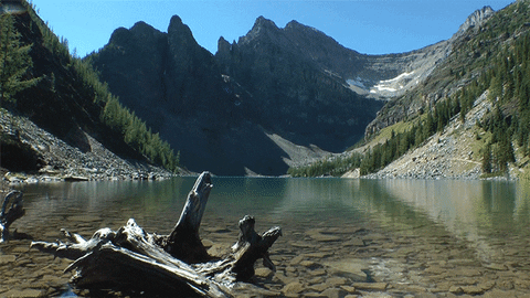 Lake Bc GIF - Find & Share on GIPHY