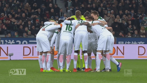 - Find & Share on GIPHY