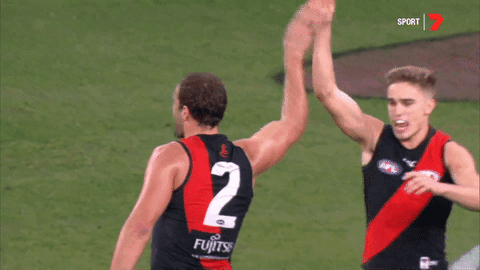 Happy Sport GIF by Essendon FC - Find & Share on GIPHY