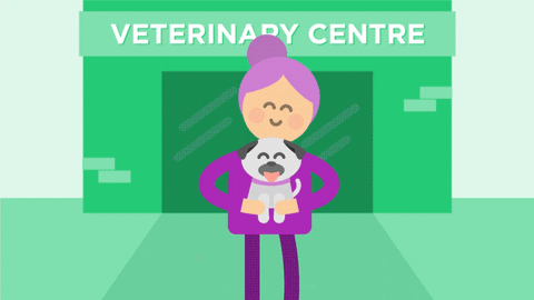 Dog Vet GIF by JustGiving - Find & Share on GIPHY