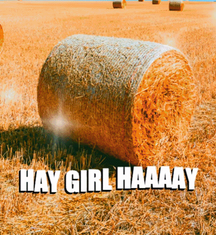 Rainbow Hello GIF by Mane 'n Tail - Find & Share on GIPHY