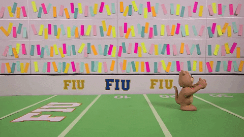 Football Clay GIF by FIU - Find & Share on GIPHY