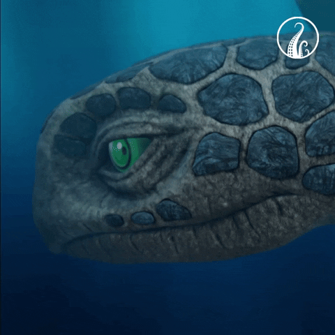 The Deep Turtle GIF by The Deep (Series) - Find & Share on GIPHY