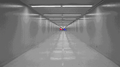Hallway GIF - Find & Share on GIPHY