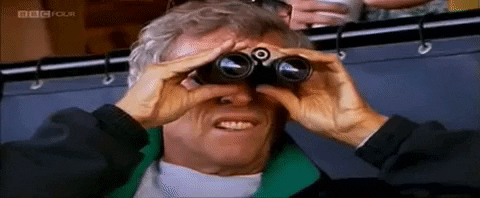 Binoculars Reaction GIF by Burt Bacharach - Find & Share on GIPHY