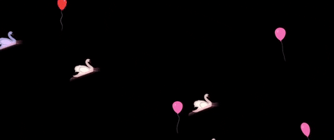 Slow GIFs - Find & Share on GIPHY