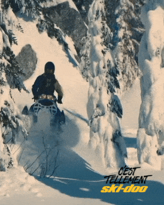 Winter Donut GIF by Ski-Doo - Find & Share on GIPHY