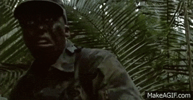 Predator GIF - Find & Share on GIPHY