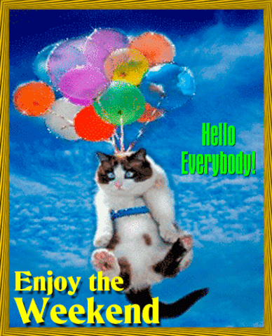 The Weekend GIF - Find & Share on GIPHY