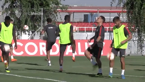 La Liga Soccer GIF by Sevilla Fútbol Club - Find & Share on GIPHY