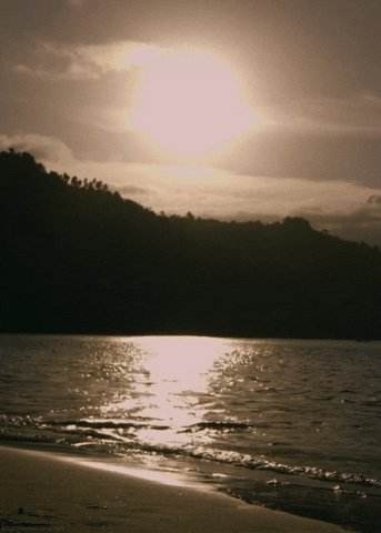Ocean Sunset GIF by Head Like an Orange - Find & Share on GIPHY