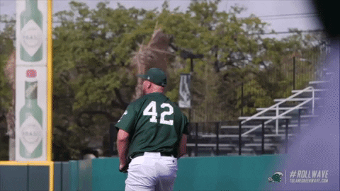 Baseball Wave GIF by GreenWave - Find & Share on GIPHY