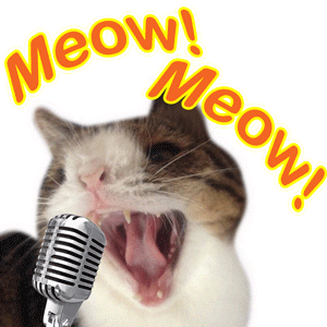 Cool Cat Singing Sticker for iOS & Android | GIPHY