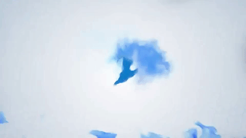 Dallas Fuel GIF - Find & Share on GIPHY