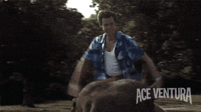 Jim Carrey Ride GIF - Find & Share on GIPHY