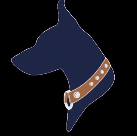 Rumble Dogcollars GIF by Collar & Ruff - Find & Share on GIPHY