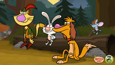 Sad Nature Cat GIF by PBS KIDS - Find & Share on GIPHY