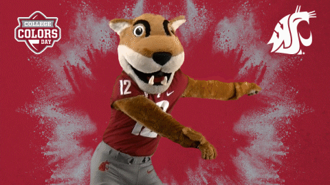 Happy College Sports GIF by College Colors Day - Find & Share on GIPHY