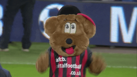 Football Soccer GIF by AFC Bournemouth - Find & Share on GIPHY