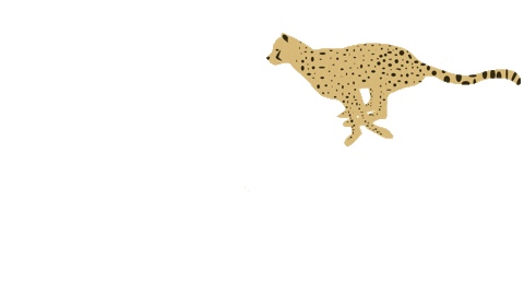 Cheetah Sticker by Toronto Zoo for iOS & Android | GIPHY