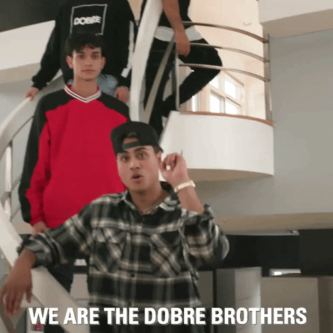 Dobre Brothers GIF by MTV Cribs - Find & Share on GIPHY