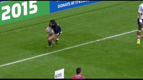 Sport Celebration GIF by World Rugby - Find & Share on GIPHY