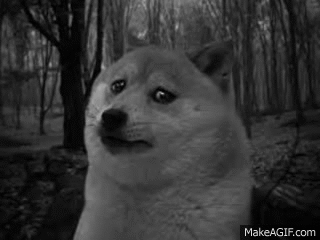 Sorrow GIFs - Find & Share on GIPHY