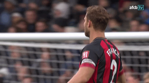 Football Soccer GIF by AFC Bournemouth - Find & Share on GIPHY