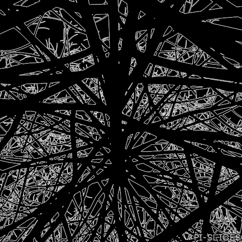 Black And White Loop GIF by Pi-Slices - Find & Share on GIPHY