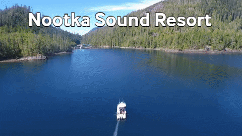 Boat Fishing GIF - Find & Share on GIPHY