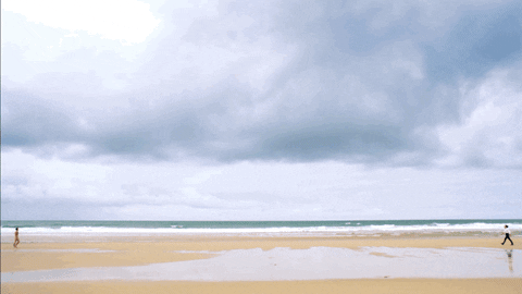 Walks On The Beach GIFs - Get the best GIF on GIPHY