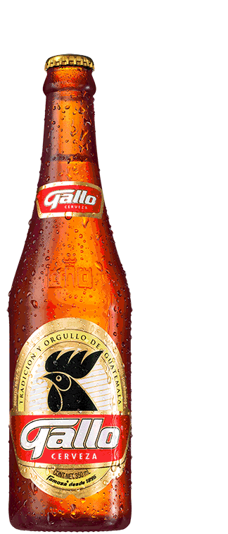 Beer sticker by Cerveza Gallo for iOS & Android | GIPHY