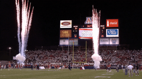Wildcats Ua GIF by University of Arizona Alumni Association - Find ...