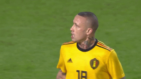 National Team Belgium GIF by Sporza - Find & Share on GIPHY