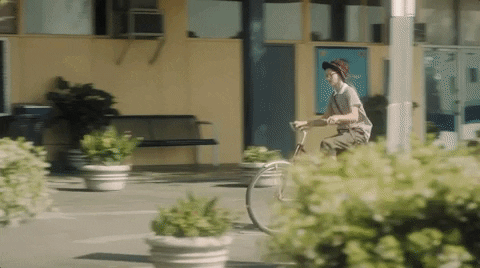 Speed Racer Bike GIF by Brat - Find & Share on GIPHY