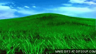 Grass GIFs - Find & Share on GIPHY