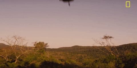 Season 1 Episode 6 GIF by National Geographic Channel - Find & Share on ...