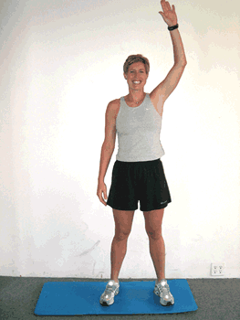 Arms GIF - Find & Share on GIPHY