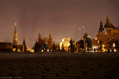 Russia Connect2Earth GIF by Earth Hour - Find & Share on GIPHY