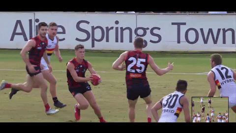 Afl GIF by Adelaide Crows - Find & Share on GIPHY