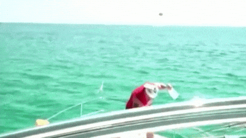 Party Boat GIF - Find & Share on GIPHY