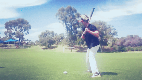 Home Run Baseball GIF by LASER STRAP ℗ ™ - Find & Share on GIPHY