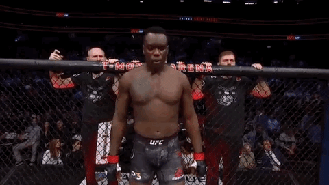 Ufc 229 Sport GIF by UFC - Find & Share on GIPHY