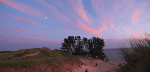 Michigan GIFs - Find & Share on GIPHY