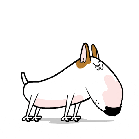 Dog GIF by Jimmy the Bull - Find & Share on GIPHY