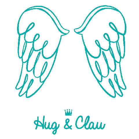 Wings Sticker by Hug & Clau for iOS & Android | GIPHY