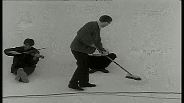 Bonehead GIFs - Find & Share on GIPHY