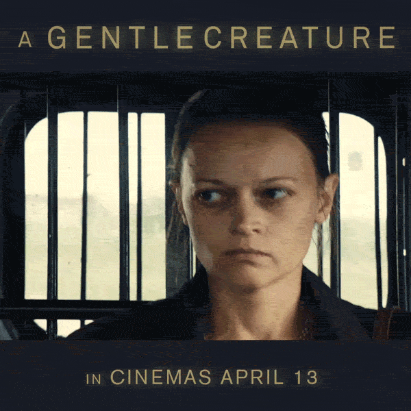 A Gentle Creature GIF - Find & Share on GIPHY