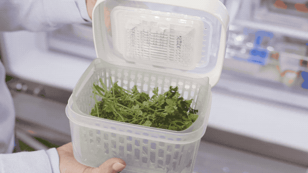 Kitchen Organization GIF by The Container Store - Find & Share on GIPHY